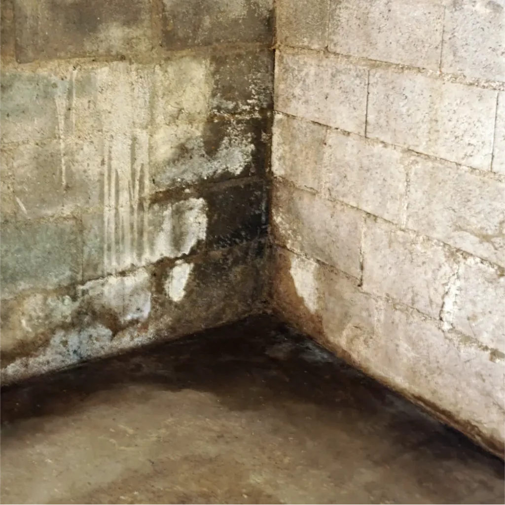 Traitement de l’humidité sol cave | MURSEC
